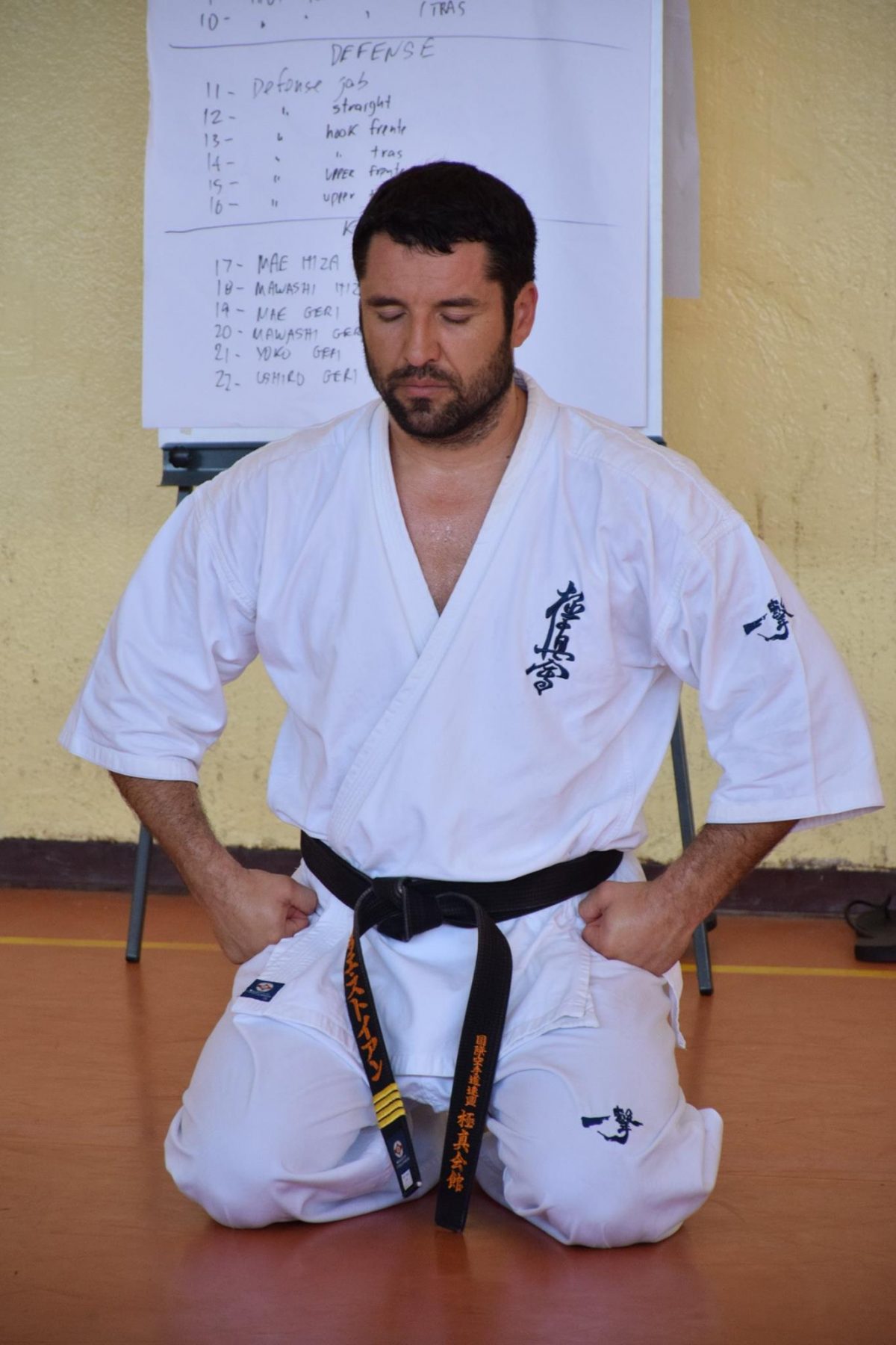 Shihan Filho in Kyokushin Karate Summer Camp Romania 1-5 July – Nicu ...