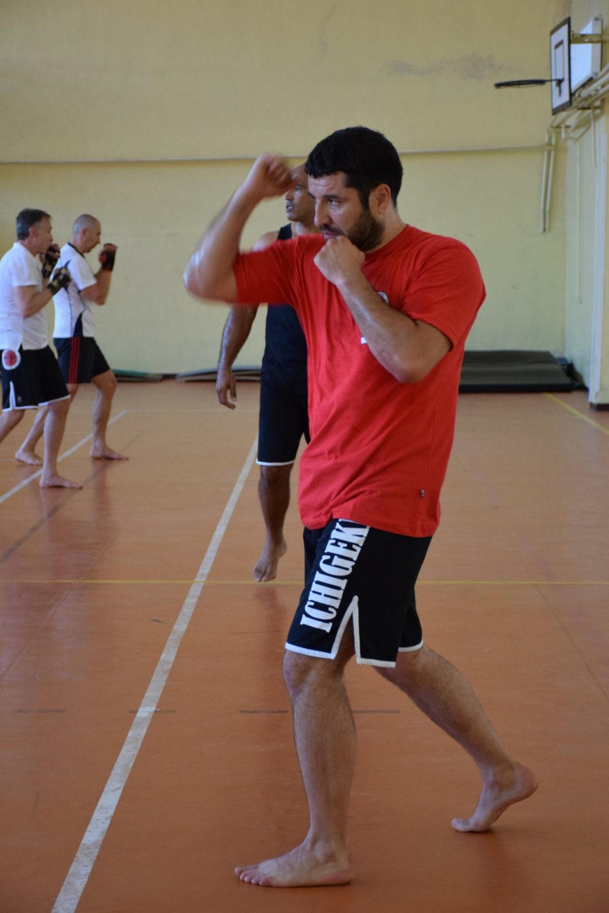 Shihan Filho in Kyokushin Karate Summer Camp Romania 1-5 July – Nicu ...
