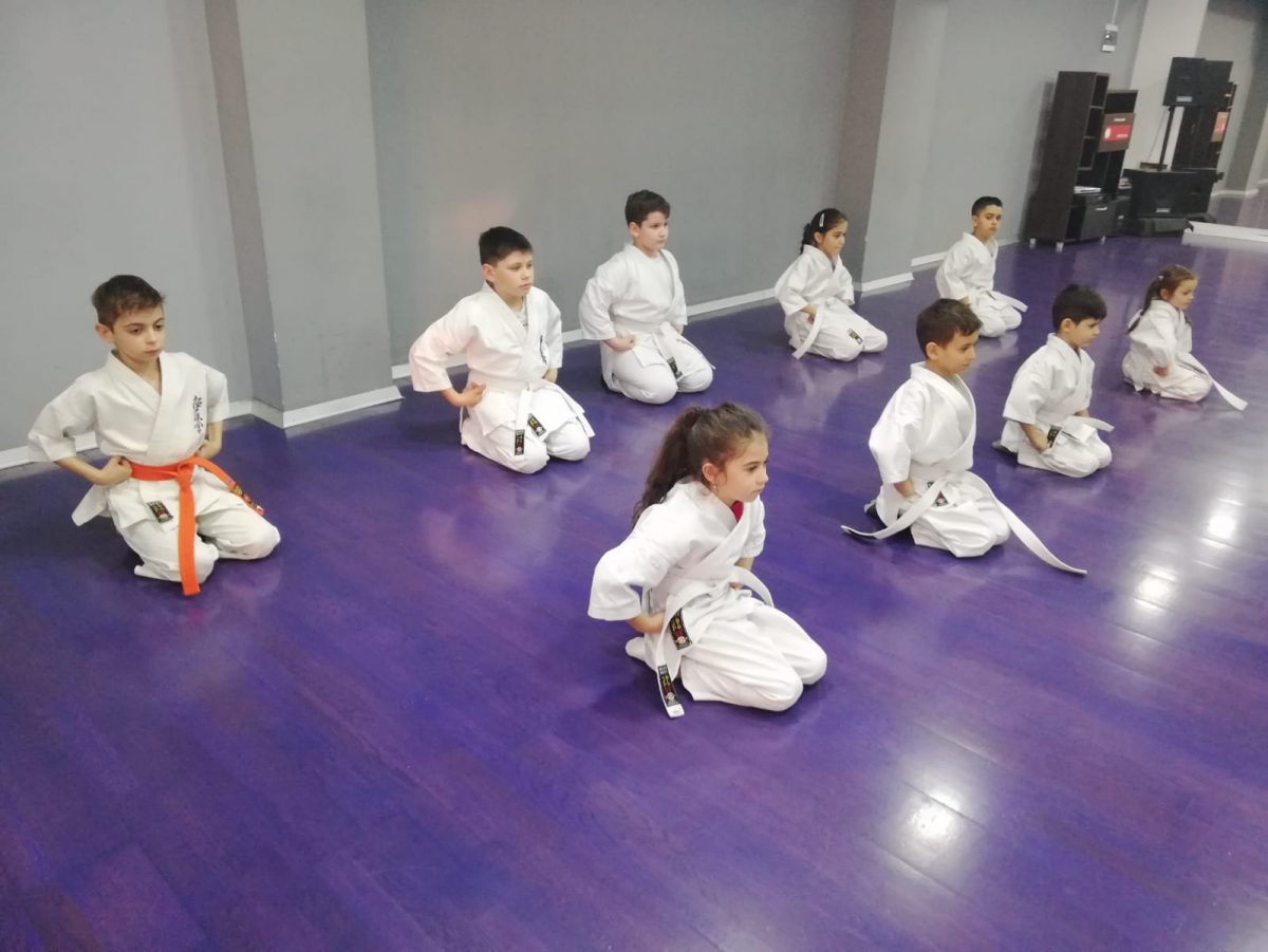 Iron Fist Academy Omnix Club – Iron Fist Academy