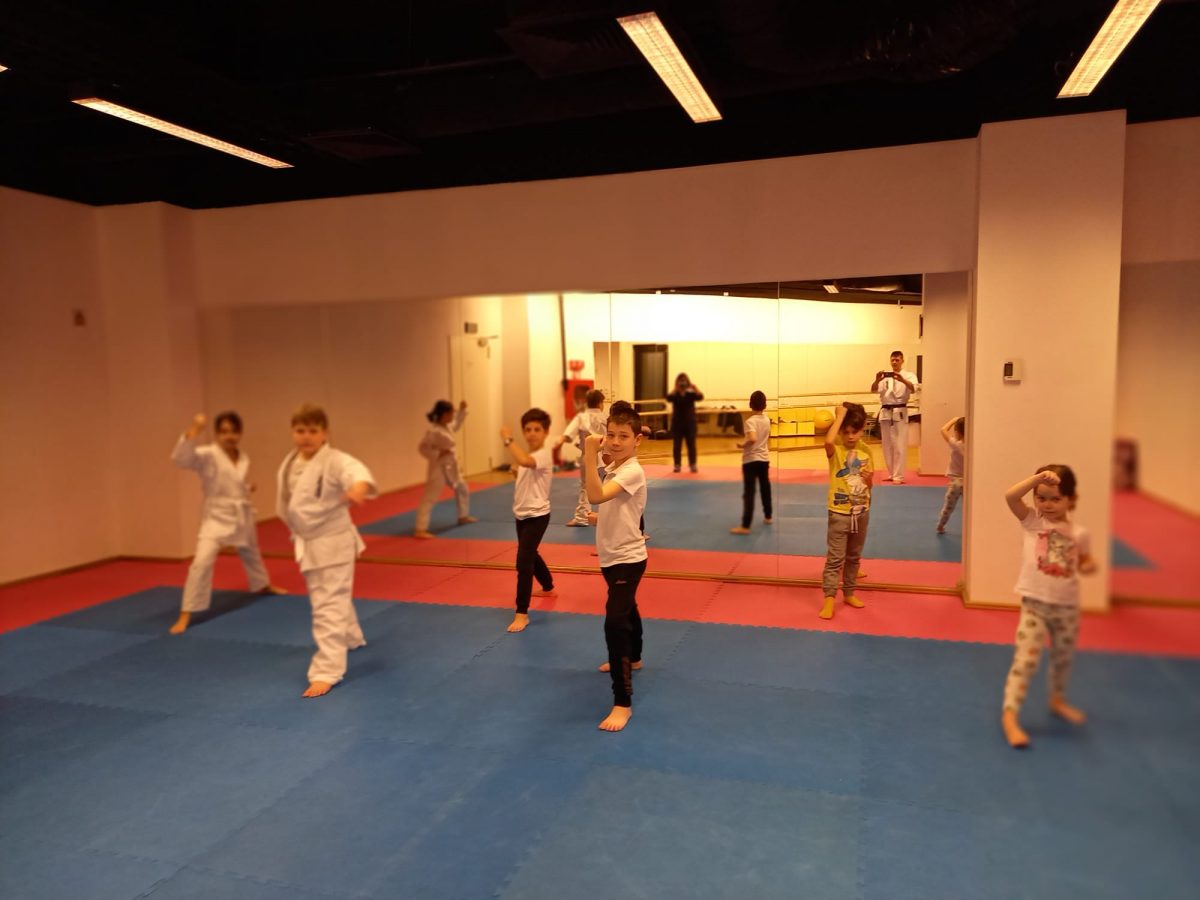 Iron Fist Academy World Class Titan – Iron Fist Academy